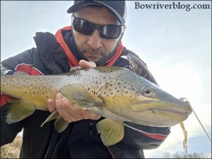 Inner City Bow River Trout Fishing, January 2026 – Bow River Blog